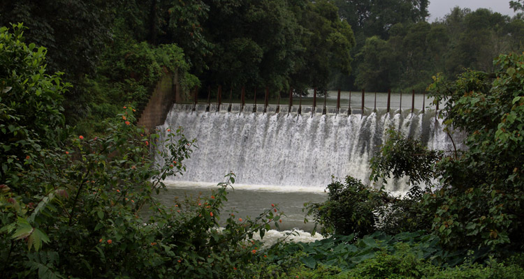 Abbey Falls Coorg (Timings, Entry Fee, Images, Best time to visit ...