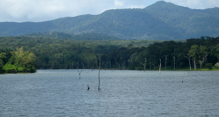 Chiklihole Reservoir Coorg (Entry Fee, Timings, Reviews, Best Time ...