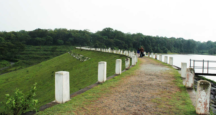 Chiklihole Reservoir Coorg (Entry Fee, Timings, Reviews, Best Time ...