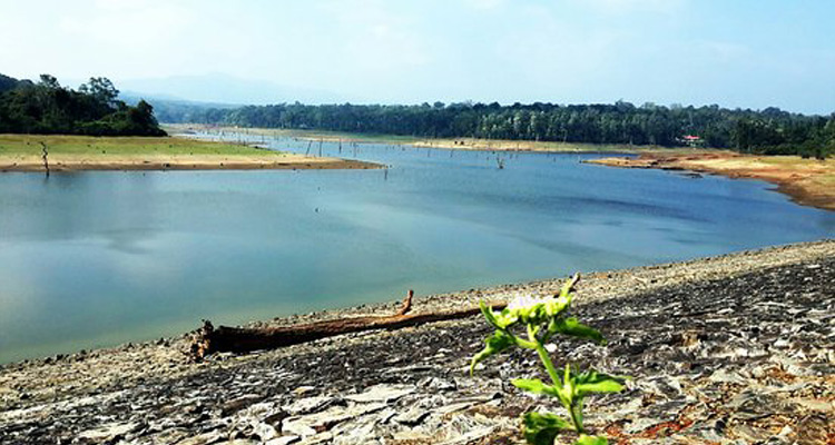 Chiklihole Reservoir Coorg (Entry Fee, Timings, Reviews, Best Time ...