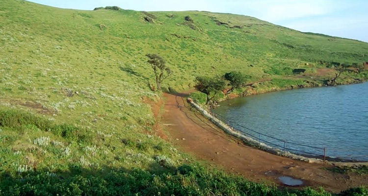 Honnamana Kere Lake Coorg (Reviews, Tips, Distance, Timings, History ...