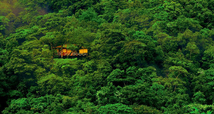 Karada Village near Coorg (Reviews, History, Distance, Tips, Photos ...