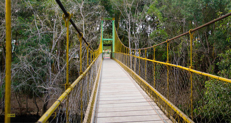 Kaveri Nisargadhama Forest Park Coorg (Timings, Entry Fee, Safari ... Kaveri Nisargadhama Forest Park Coorg (Timings, Entry Fee, Safari ...