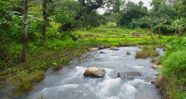 Mallalli Falls near Coorg (Reviews, History, Distance, Tips, Photos ...