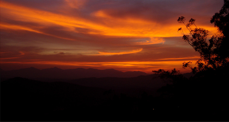 Raja's Seat Coorg (Timings, Entry Fee, Toy Train Ticket Cost & Distance ...